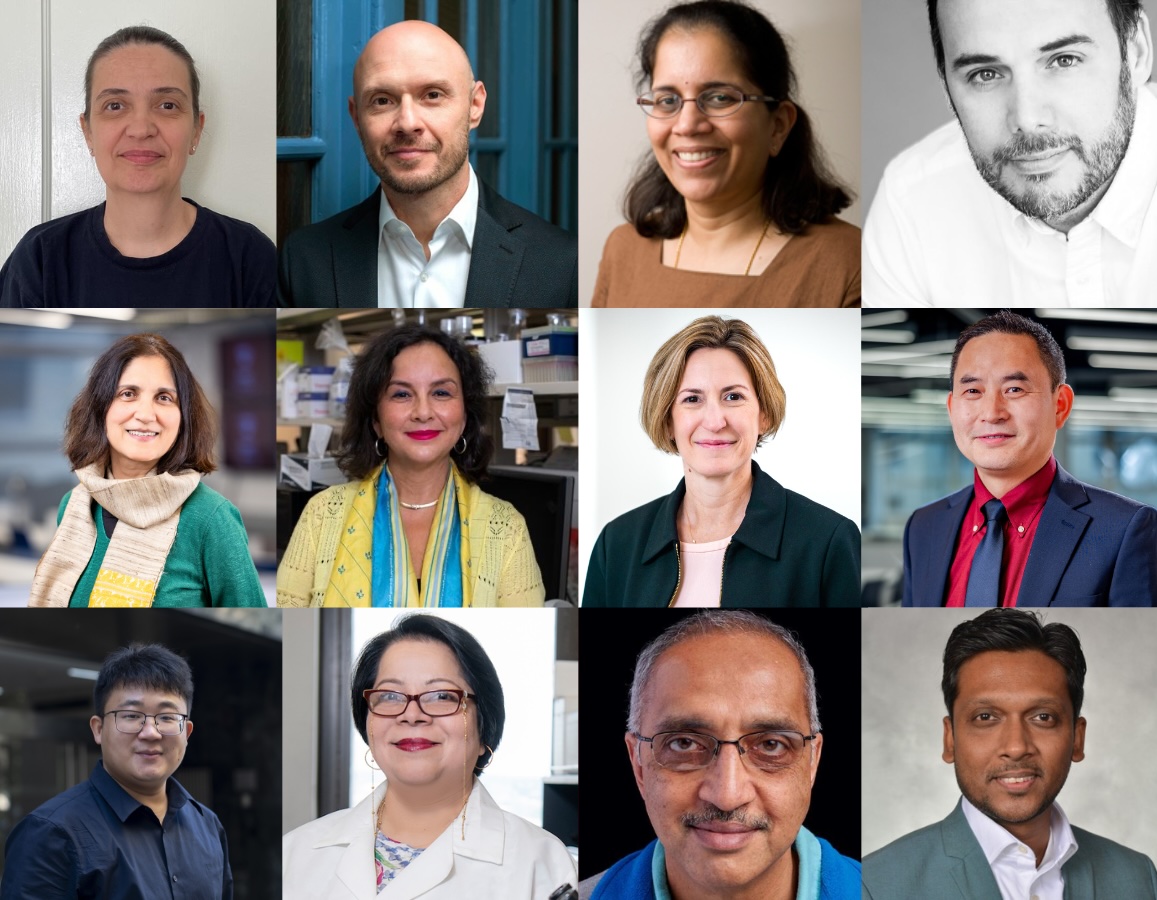 Research Grants Awarded for Pioneering Work in STEM, Health Sciences