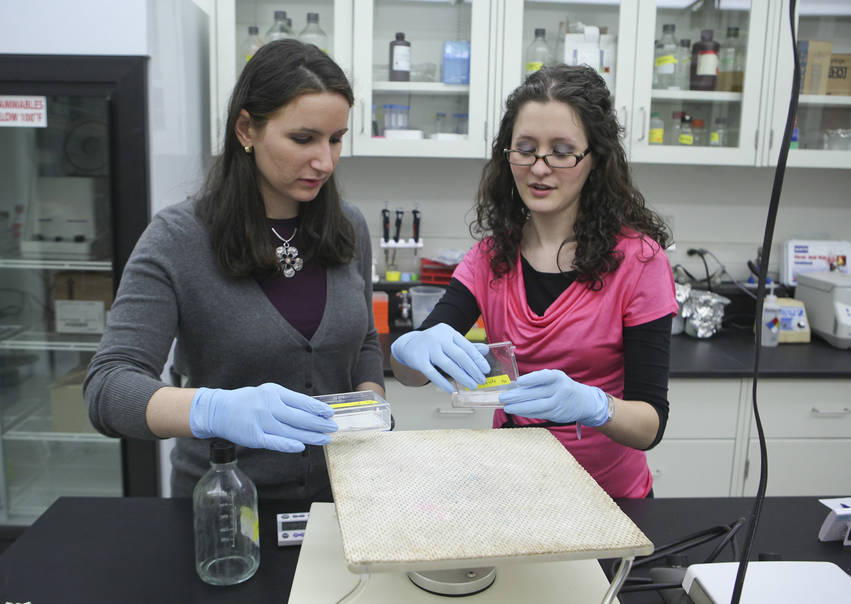 Finding a Cure and a Home