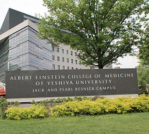 Albert Einstein College of Medicine Achieves Independent Degree ...