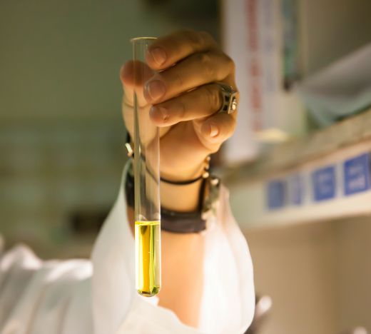 Five Kressel Scholars Selected